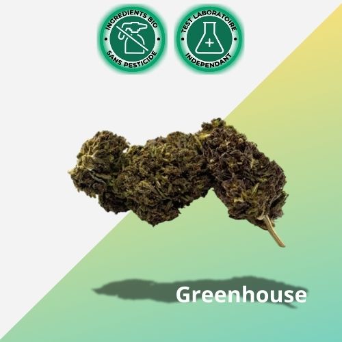 Mandarin Haze Greenhouse CBD Flor - Premium 2025 🌿