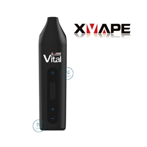 Vaporisateur Fleurs CBD Vital V2.0 | KATALIZER